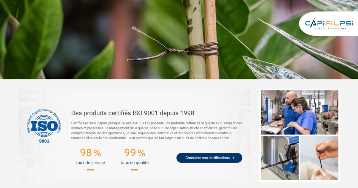 Management QSE | RSE | CAPIFILPSI